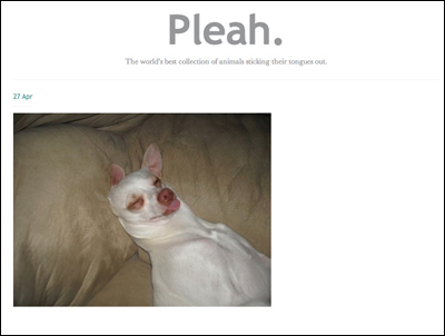 ペロリ脱力感満載！舌を出した動物の画像を集めたTumblr「Pleah.」 | mifdesign_antenna